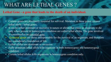 Lethal Genes Pptx