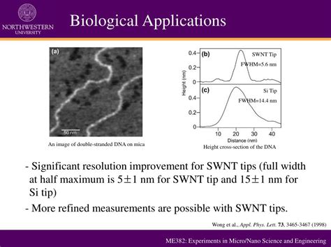 Ppt A Review On Carbon Nanotube Probes For Microscopy Applications