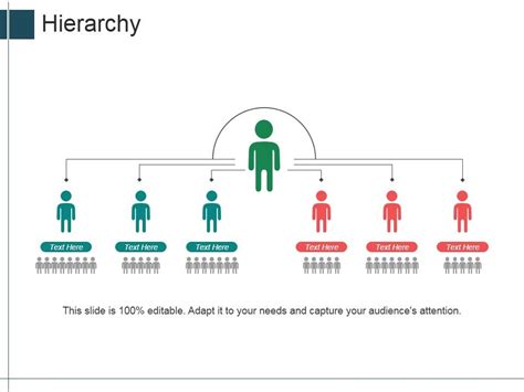 Hierarchy Ppt Powerpoint Presentation Professional Files