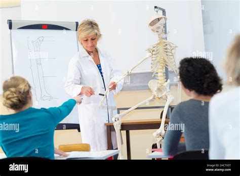 Classe D Anatomie Banque De Photographies Et D Images à Haute