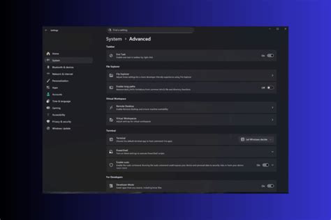 New Advanced Settings Arrive In Windows 11 How To Enable Them