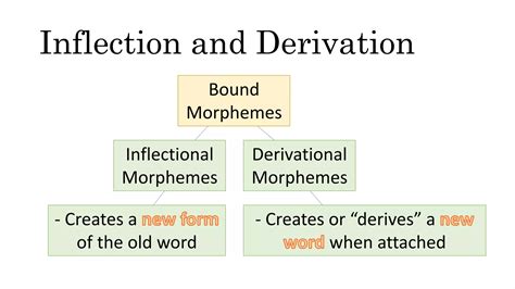 Structure Of The English Grammar 1 Pptx
