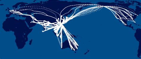 More Met Reports From New Aircraft Joining The Hong Kong Amdar