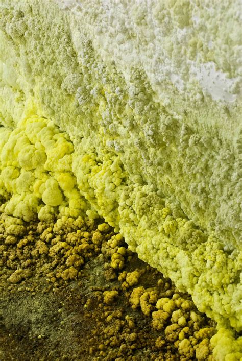 Can You See The Grass Uri Shapira