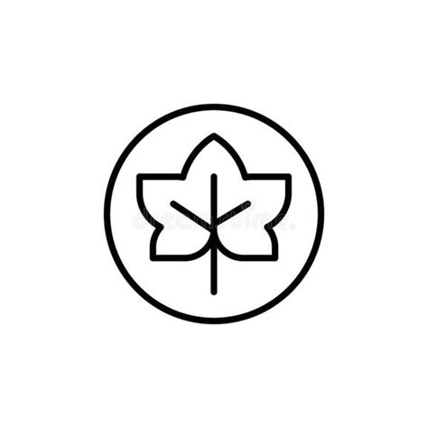 Maple Leaf Icon Thin Vector Set Stock Vector Illustration Of Thin Simple 341066105