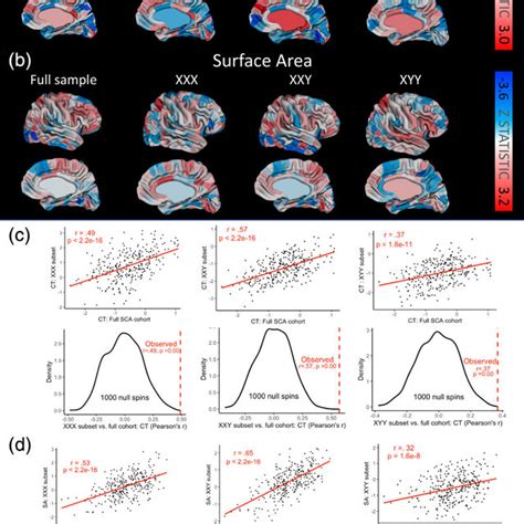 Replication Of Interaction Effects From Full Sample To Three