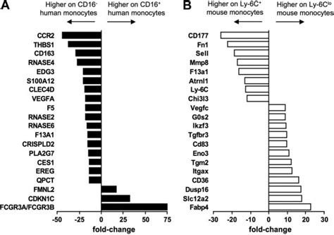 Human And Mouse Monocyte Subset Arrays Reveal Some Divergence From