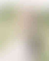 Bridal Wedding Updos Hair Comes The Bride