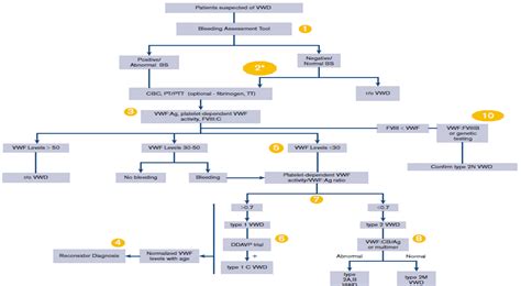 Ash Guidelines For Anticoagulation At Gabrielle Gonzales Blog
