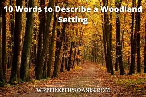 10 Words To Describe A Woodland Setting Writing Tips Oasis A Website Dedicated To Helping