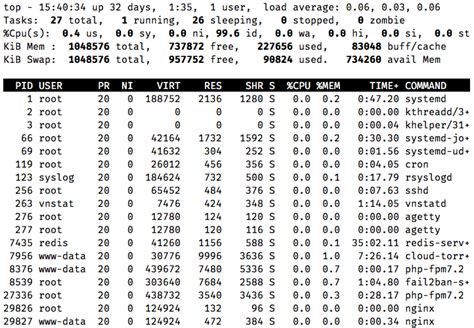 How To Kill A Process In Linux Boolean World