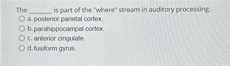 Solved The Is Part Of The Where Stream In Auditory