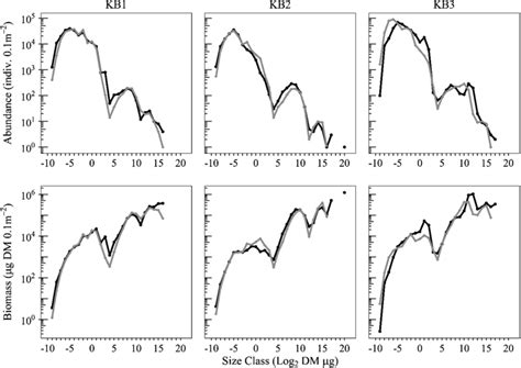 Abundance Size Spectra Top Row And Biomass Size Spectra Bottom Row Download Scientific