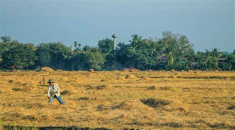 हार्ड वर्क सफलता की कुंजी होती है Hard Work Is Key To Success Success In Hindi