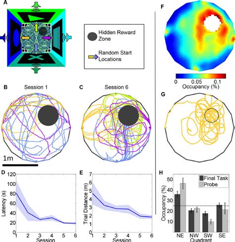 Navigational Performance In The Virtual Audiovisual Spatial Navigation Download Scientific