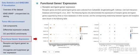 单细胞挖掘系列二CancerSCEM单细胞数据库使用指南 知乎