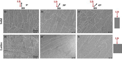 Sem Micrographs Revealing Grains For Solid And Lattice Specimens Built