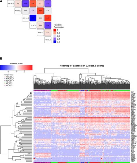 figures and data in single cell transcriptomics reveals a new dynamical