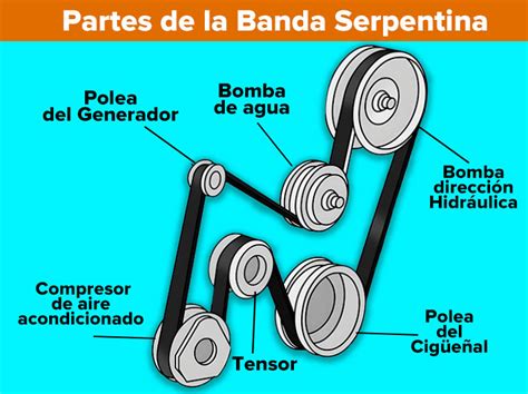 ¿qué Es La Banda Serpentina De Un Auto