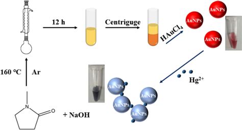 A Colorimetric Detection Of Hg2 Based On Gold Nanoparticles Synthesized Oxidized N