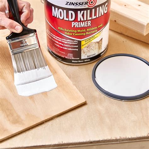 Zinsser Mold Killing Interiorexterior Multi Purpose Water Based Wall
