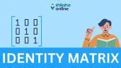 Identity Matrix Definition Examples And Properties