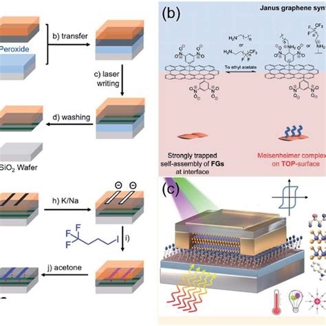 Schematic Representation Of Janus 2d Materials Download Scientific Diagram