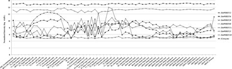line graph of the signal intensities of six interest zmwrky transcripts