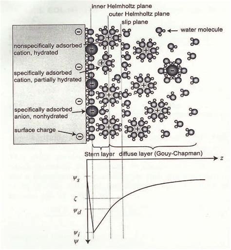 Gouychapman Model Of The Solidelectrolyte Interface Describing The