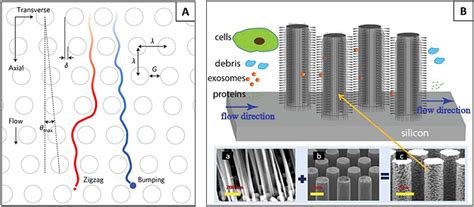 Exosome Separation Using Microfluidic Systems Exosome Rna