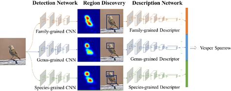 Figure 2 From Multiple Granularity Descriptors For Fine Grained