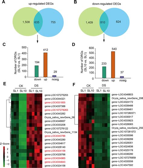 drought responsive genes in two shanlan upland rice lines a b venn