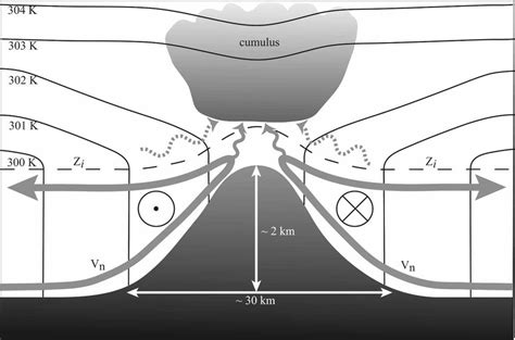schematic transect of the boundary layer flow labeled n convective