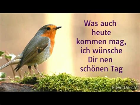 Einen schönen Tag wünsche ich dir - Elead