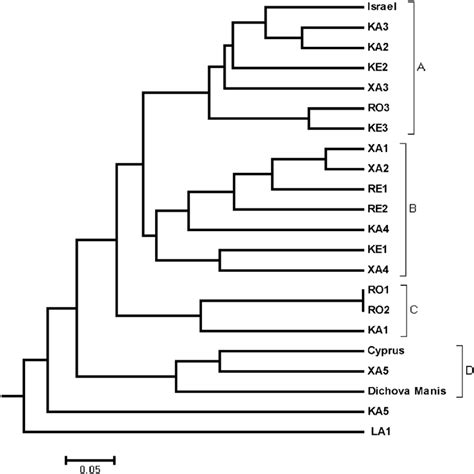 Upgma Cluster Analysis Of Twenty Two Barbary Fig Accessions With Issr
