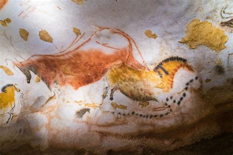 Scopri E Visita La Grotta Di Lascaux Iv