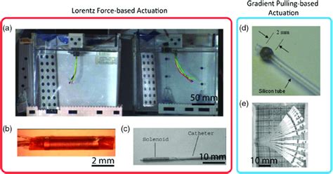 Examples Of Mri‐driven Robots Actuated By The Lorentz Forces In The