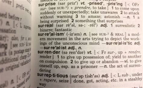 Webster Dictionary