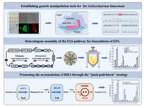 概况 中国科学院天津工业生物技术研究所