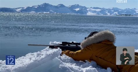 그린란드 ‘북극곰 보호에 생존 위기 사냥꾼