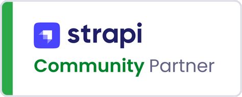 building dynamic web applications with strapi a comprehensive guide