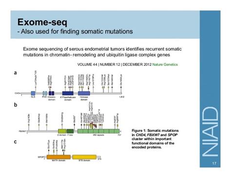Variant Analysis And Whole Exome Sequencing