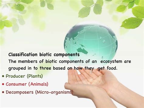 ecosystem ppt ppt