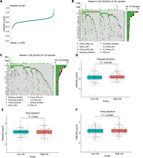 Identification Of An Immune Related Gene Signature For Predicting Prognosis And Immunotherapy
