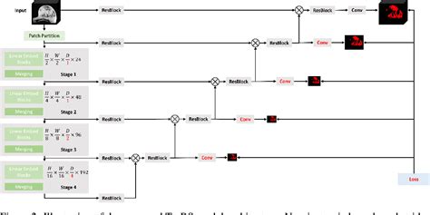 Fibroglandular Tissue Segmentation In Breast Mri Using Vision Transformers A Multi