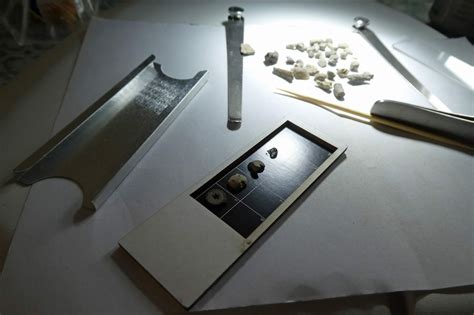 Microfossil Slides I Collecting To Mounting Microfossil Slides I Collecting To Mounting