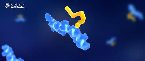 Peptide Drug Conjugate Services • Wuxi Apptec Lab Testing Division