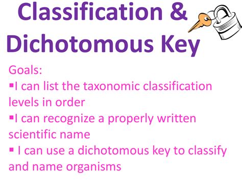 Classification Dichotomous Key