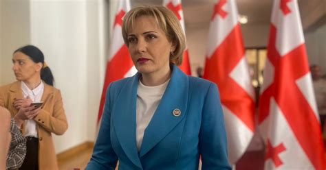 სეფაშვილი წინააღმდეგი ვარ ევროსაბჭოში დელეგაციის უფლებამოსილების