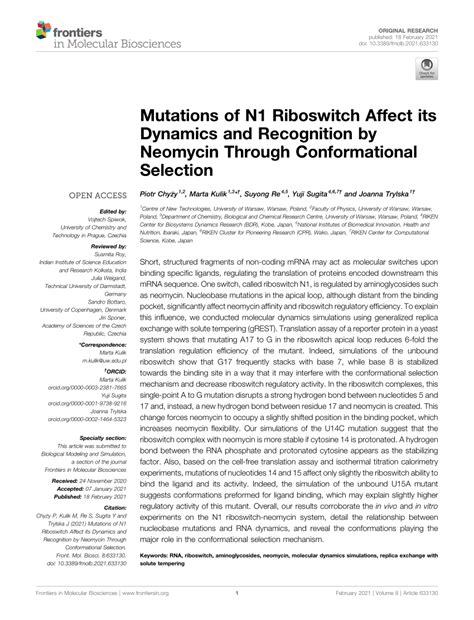 Pdf Mutations Of N1 Riboswitch Affect Its Dynamics And Recognition By Neomycin Through